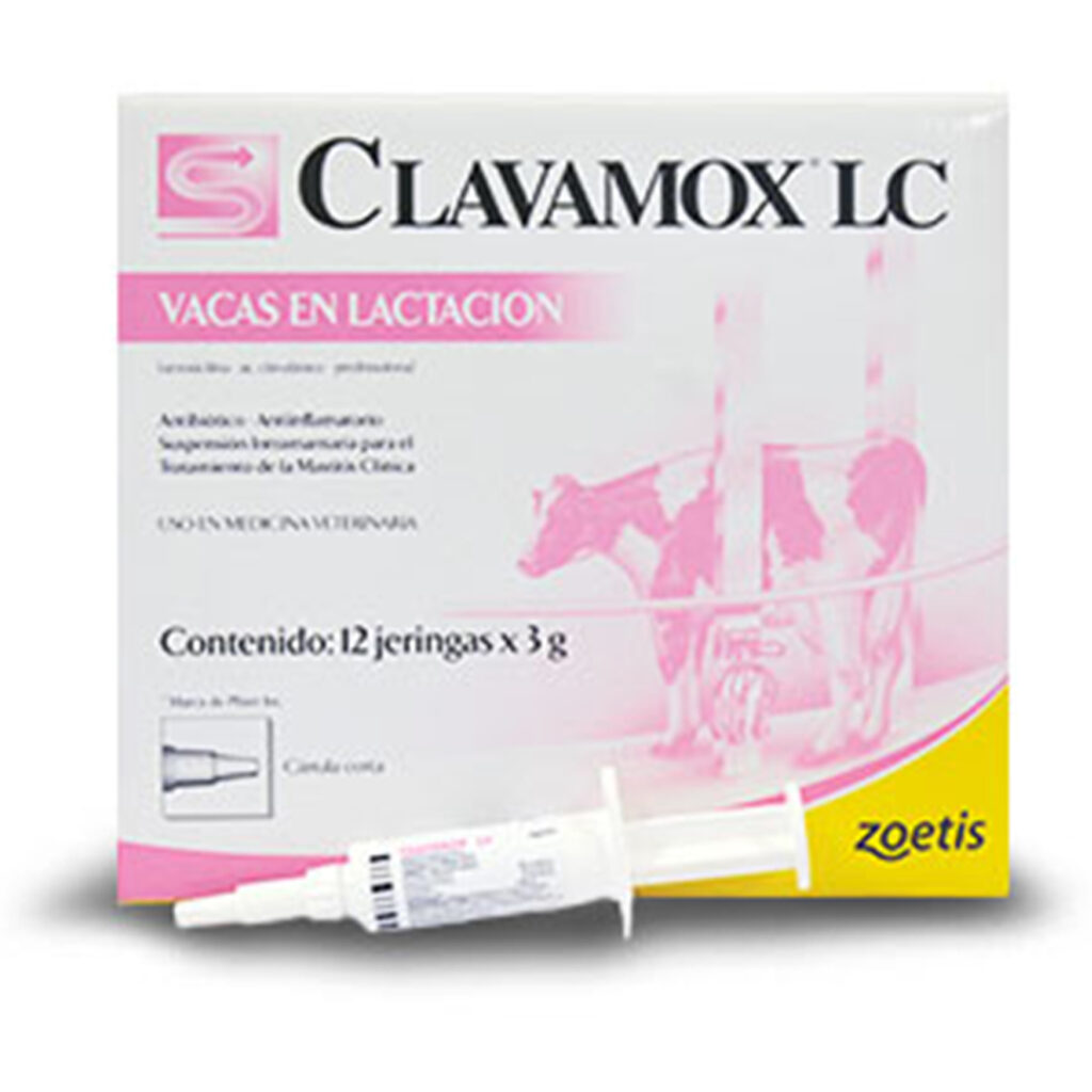 CLAVAMOX L.C. x JERINGAS – TRT