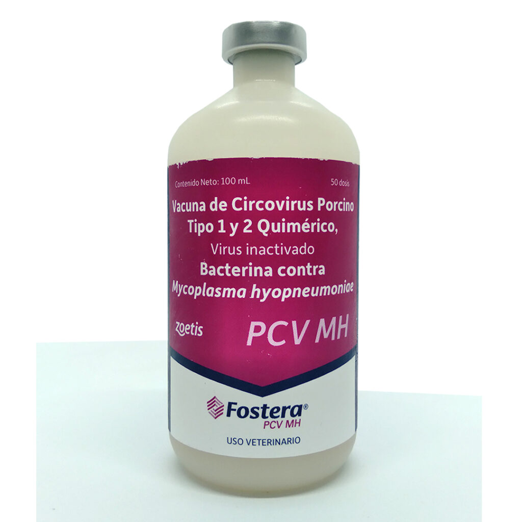 FOSTERA PCV MH X 50 DOSIS – TRT